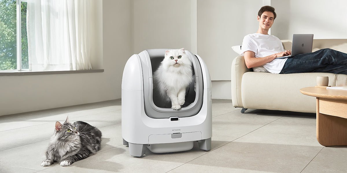 28 Key Points for Buying & Using Automatic Cat Litter Box | PET MARVEL