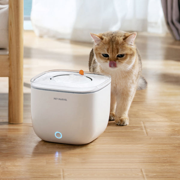 PET MARVEL: Automatic Litter Box, Feeder, Water Fountain for Cat