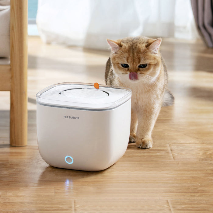 PET MARVEL: Automatic Litter Box, Feeder, Water Fountain for Cat