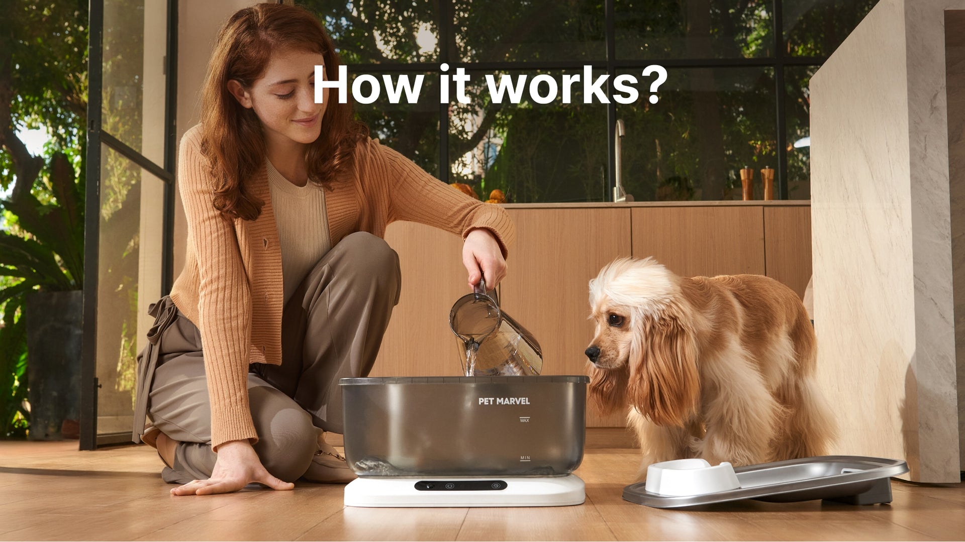 Cordless Dog Water Fountain F2 V2 Indoor Outdoor | PET MARVEL