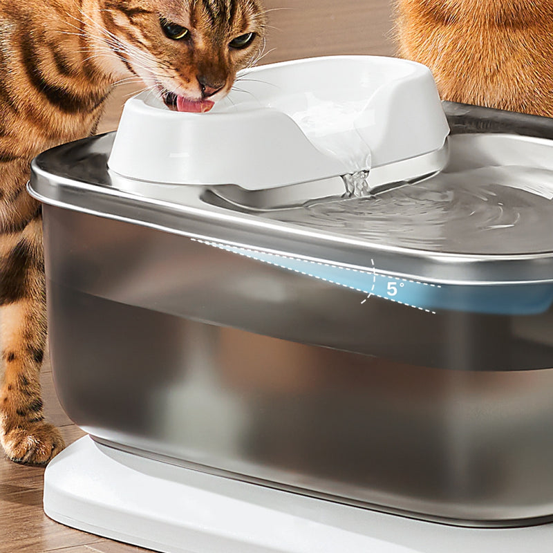 Cordless Dog Water Fountain F2 V2 Indoor Outdoor | PET MARVEL