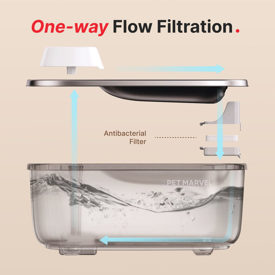 Cordless Dog Water Fountain F2 V2 Indoor Outdoor | PET MARVEL