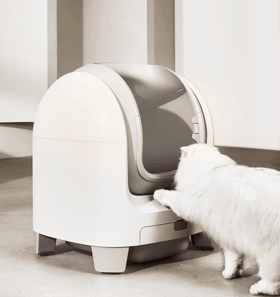 PET MARVEL: Automatic Litter Box, Feeder, Water Fountain for Cat