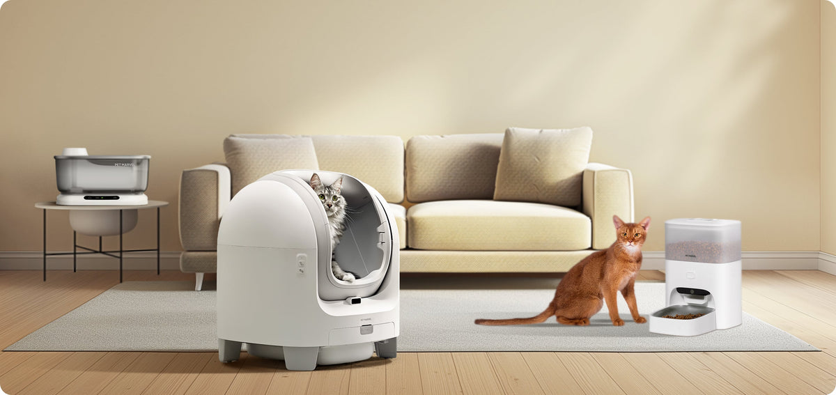 Self Cleaning Litter Box, Smart Feeder Fountain | PET MARVEL