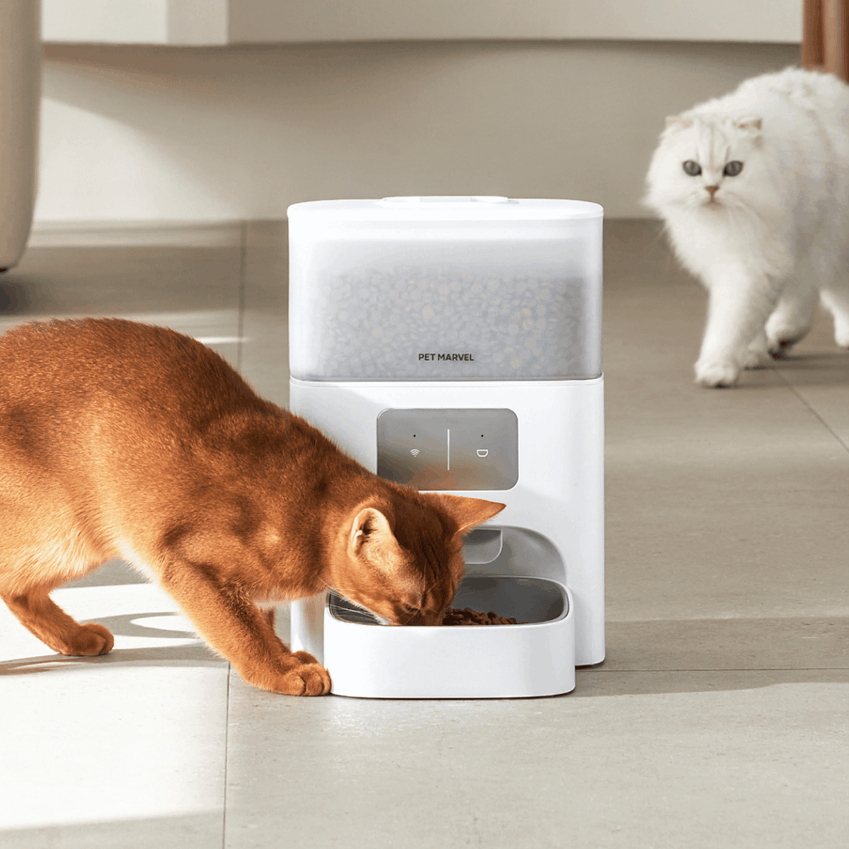 Buy Automatic Cat Feeder, Dog Bowl | PET MARVEL Official