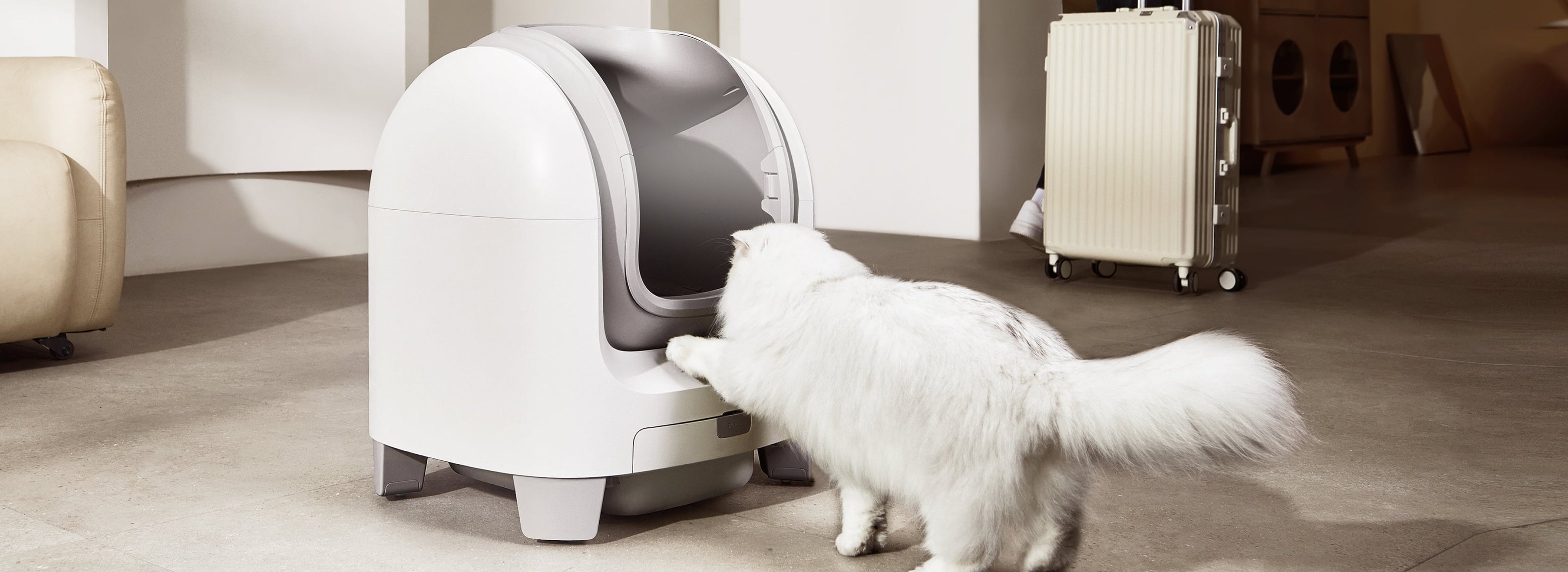 PET MARVEL: Automatic Litter Box, Feeder, Water Fountain for Cat
