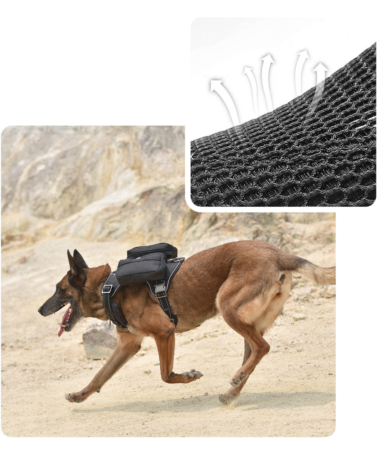 Tactical Dog Harness with Poop Bag Holder – PET MARVEL