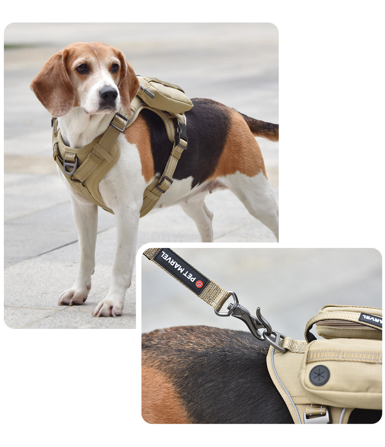 Tactical Dog Harness with Poop Bag Holder – PET MARVEL