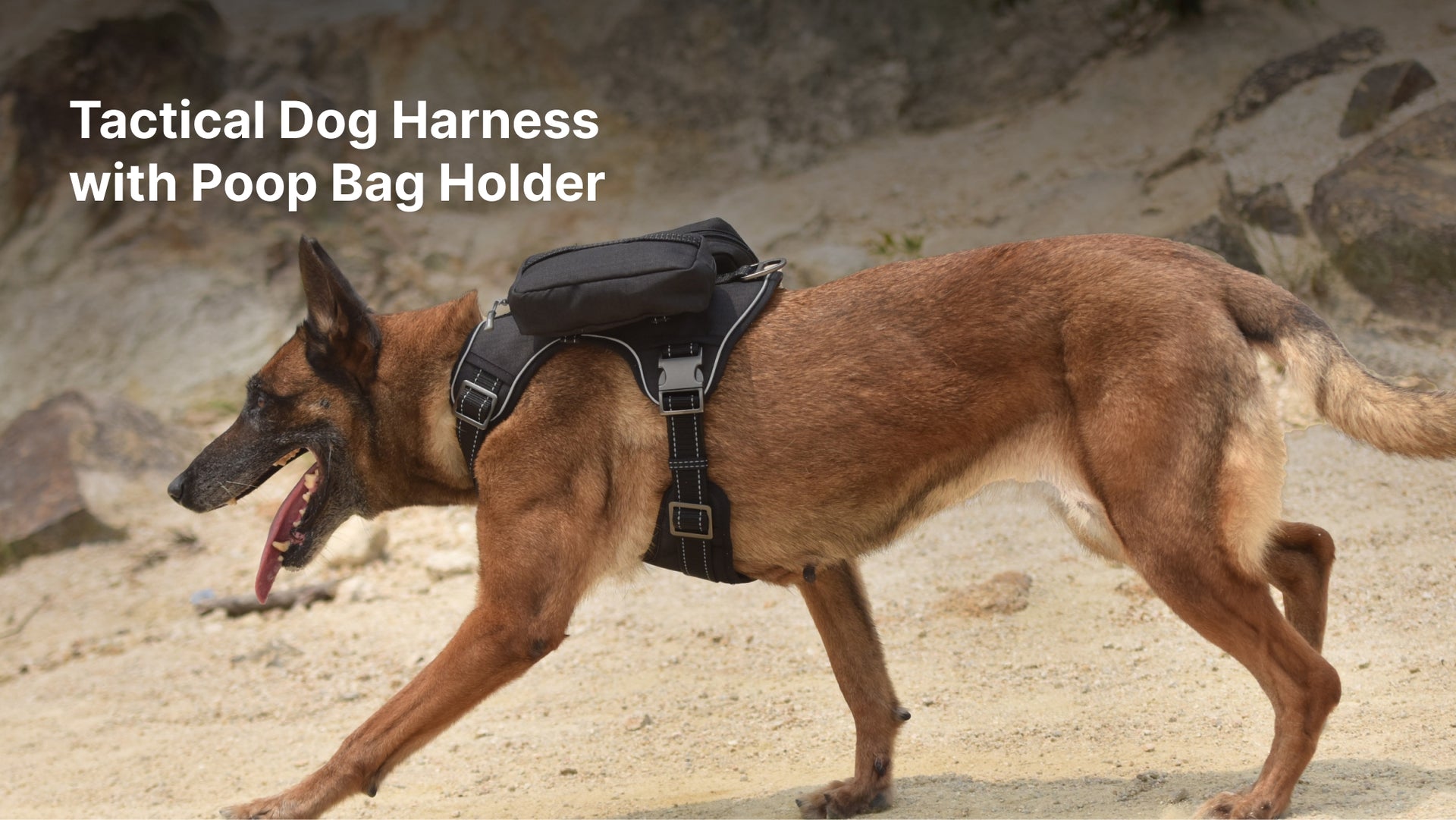 Tactical Dog Harness with Poop Bag Holder – PET MARVEL