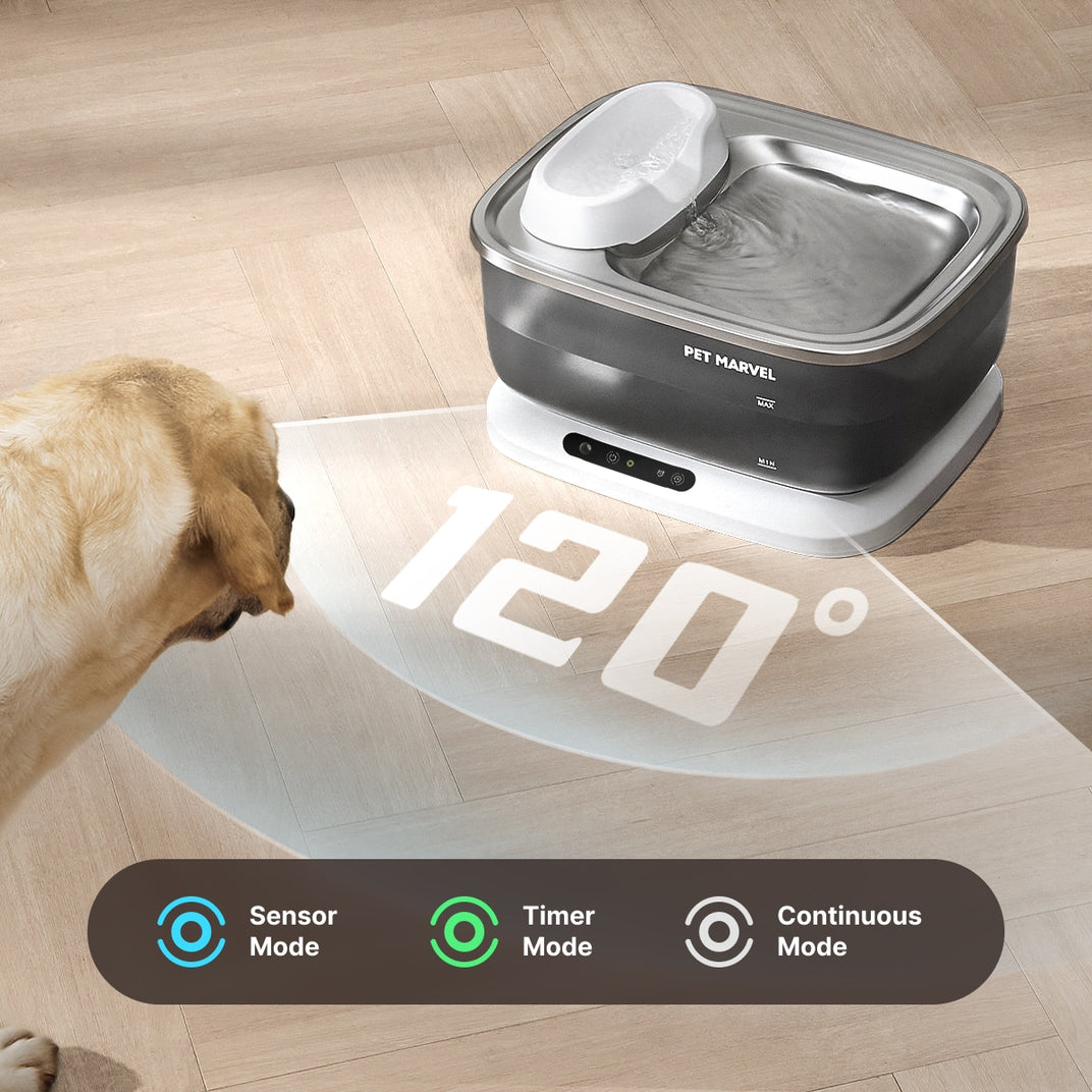 Cordless Dog Water Fountain F2 V2 Indoor Outdoor | PET MARVEL