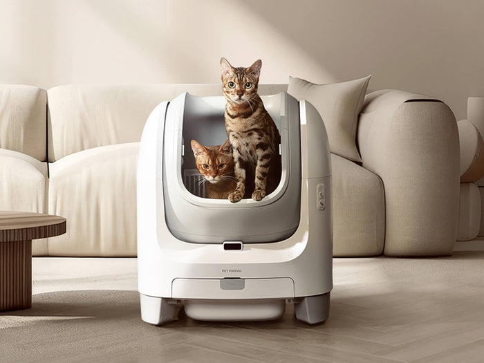 Cordless Dog Water Fountain F2 V2 Indoor Outdoor | PET MARVEL