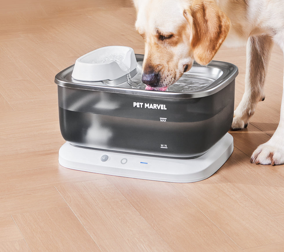 PET MARVEL: Automatic Litter Box, Feeder, Water Fountain for Cat