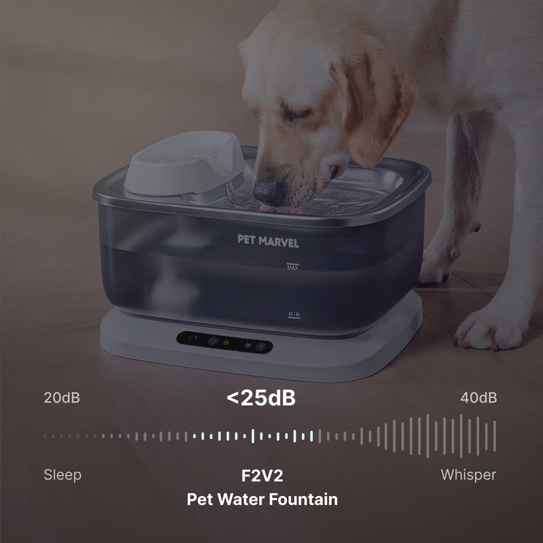 Cordless Dog Water Fountain F2 V2 Indoor Outdoor | PET MARVEL
